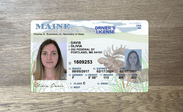 How to spot fake documents: Ultimate guide